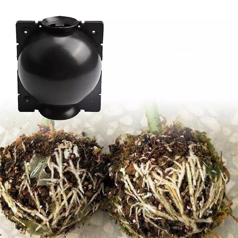 PlantPro™️ - Neueste Innovation beim Pflanzenwachstum | 50% RABATT – Ocerar