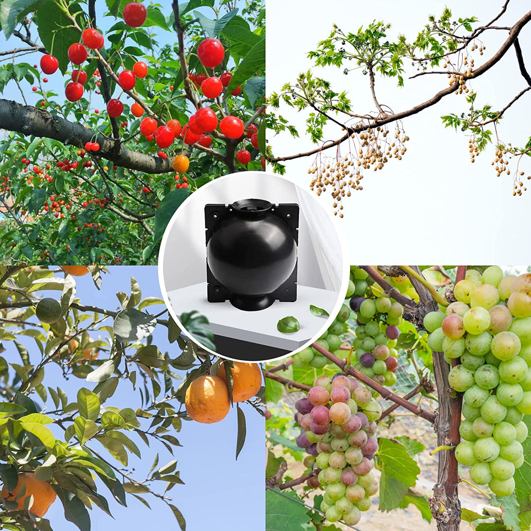 PlantPro™️ - Neueste Innovation beim Pflanzenwachstum | 50% RABATT – Ocerar